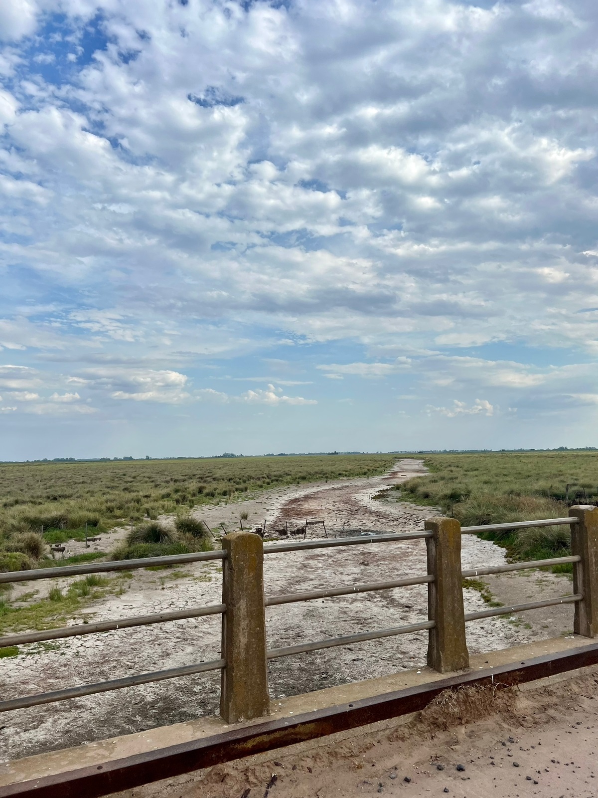 SEMANARIO EL TIEMPO PERGAMINO Consecuencias de la sequÃ­a: el cauce del ...